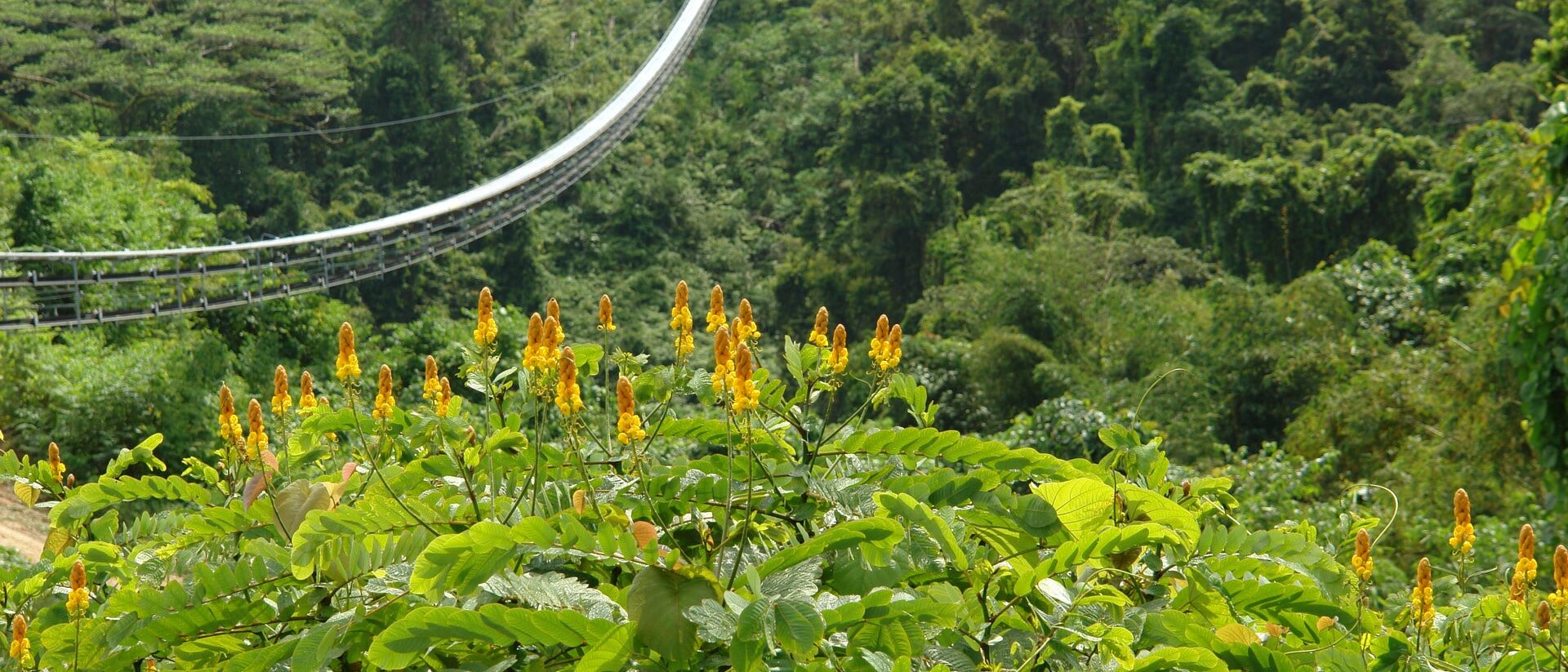 RopeCon® Simberi - Doppelmayr Group