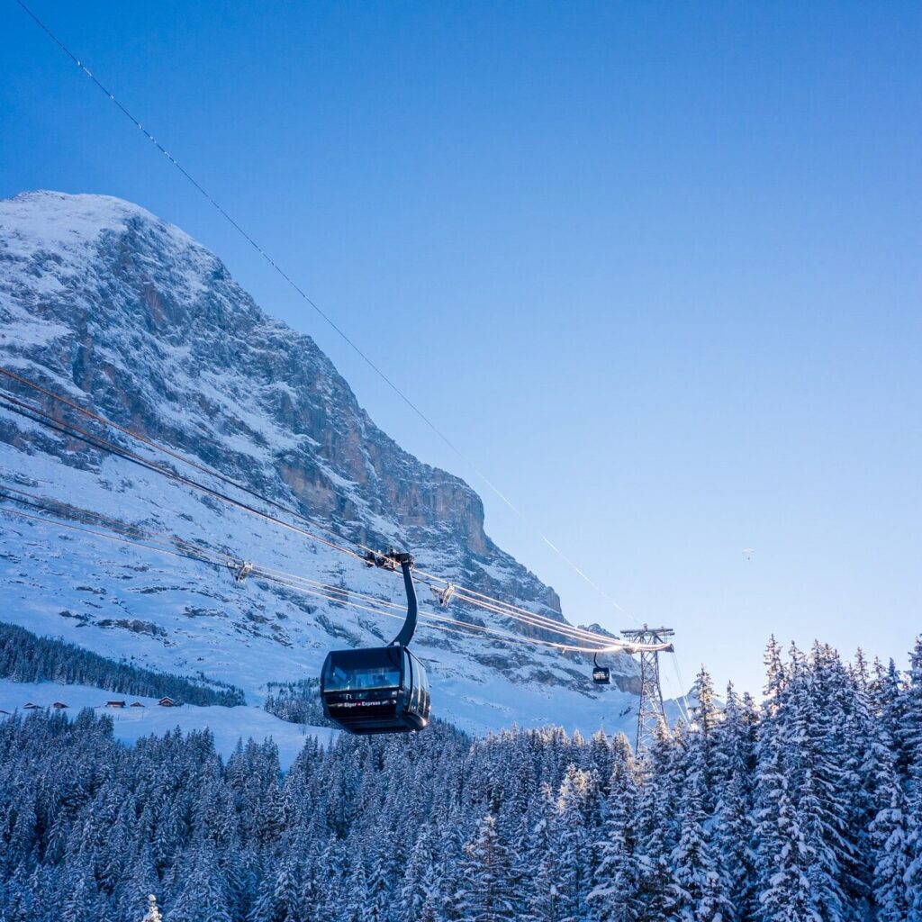 Marca Doppelmayr - Doppelmayr Grupo