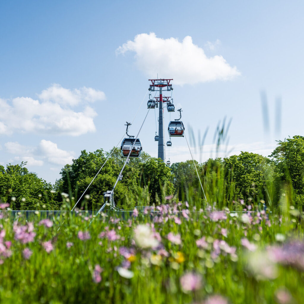 Seilbahn BUGA Mannheim - Doppelmayr Gruppe 🚡