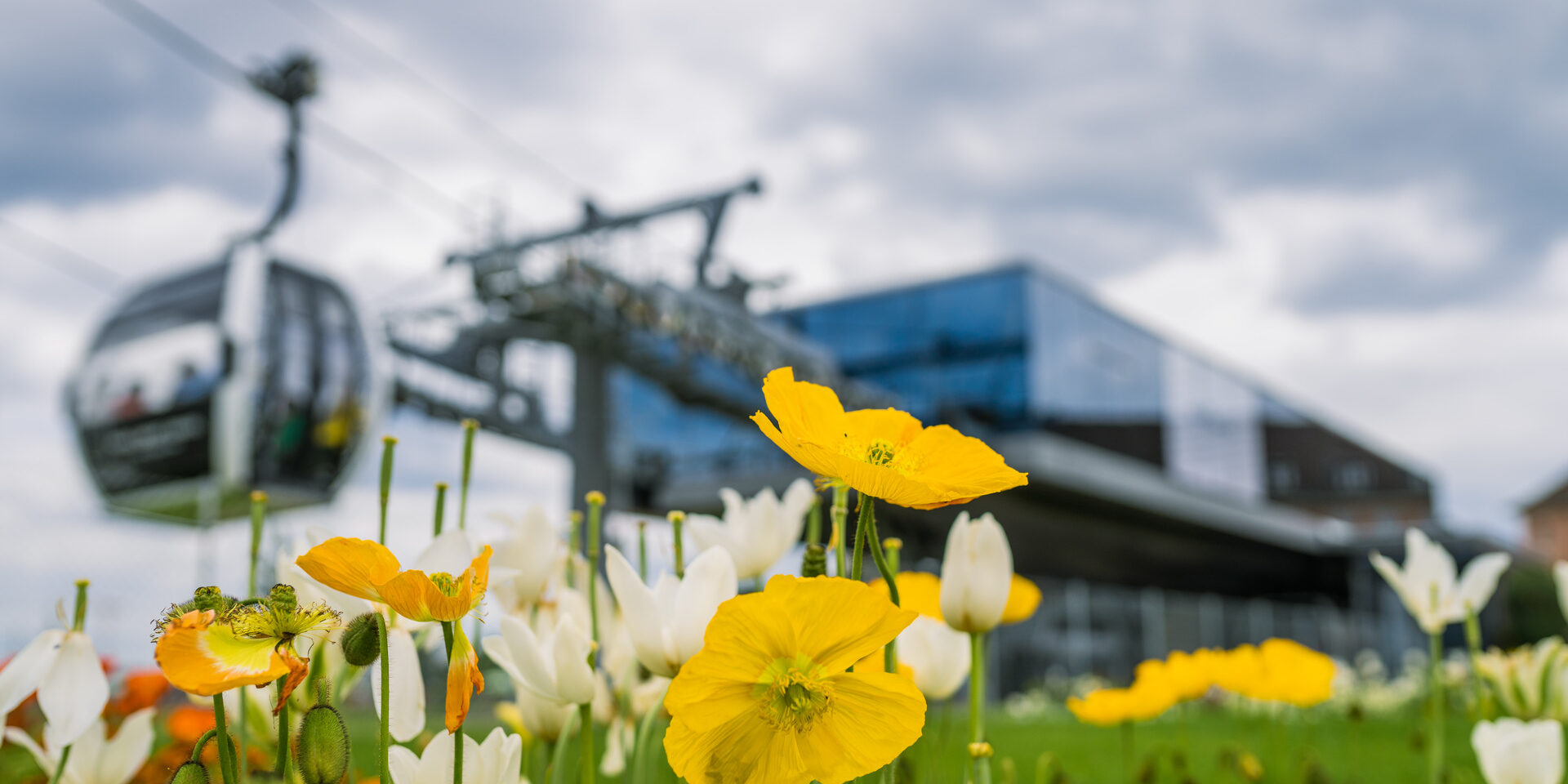 Seilbahn BUGA Mannheim - Doppelmayr Gruppe 🚡